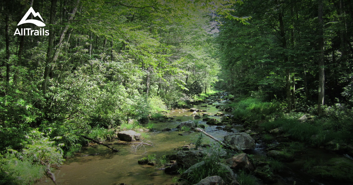 Best Trails in Lost Cove Wilderness Study Area - North Carolina | AllTrails