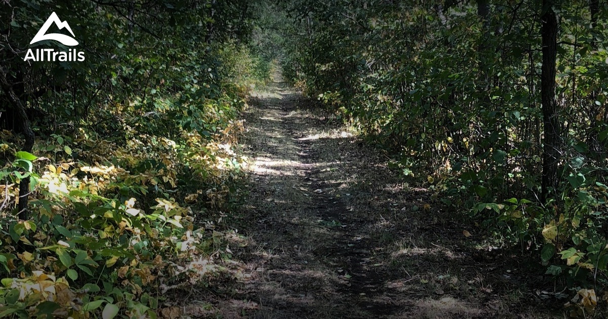 Best Trails in Brandon Hills MB - Manitoba, Canada | AllTrails