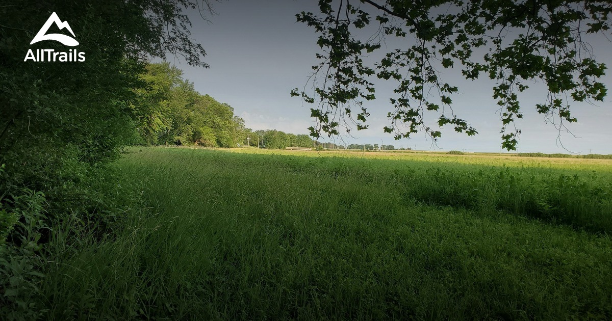 Best hikes and trails in Kickapoo Creek County Park | AllTrails