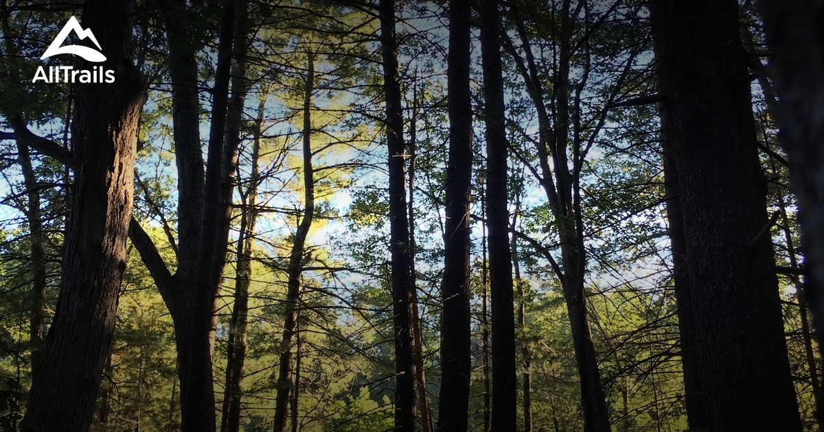Best Trails in Needham Town Forest - Massachusetts | AllTrails