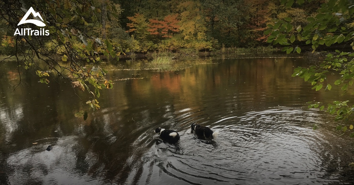 Best walking trails in Needham Town Forest | AllTrails