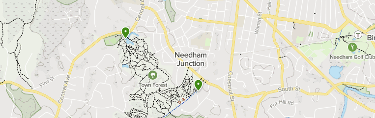 Best trails in Needham Town Forest, Massachusetts | AllTrails