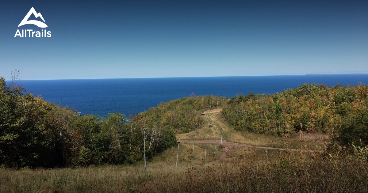 Best hikes and trails in Len Gertler Memorial Loree Forest | AllTrails