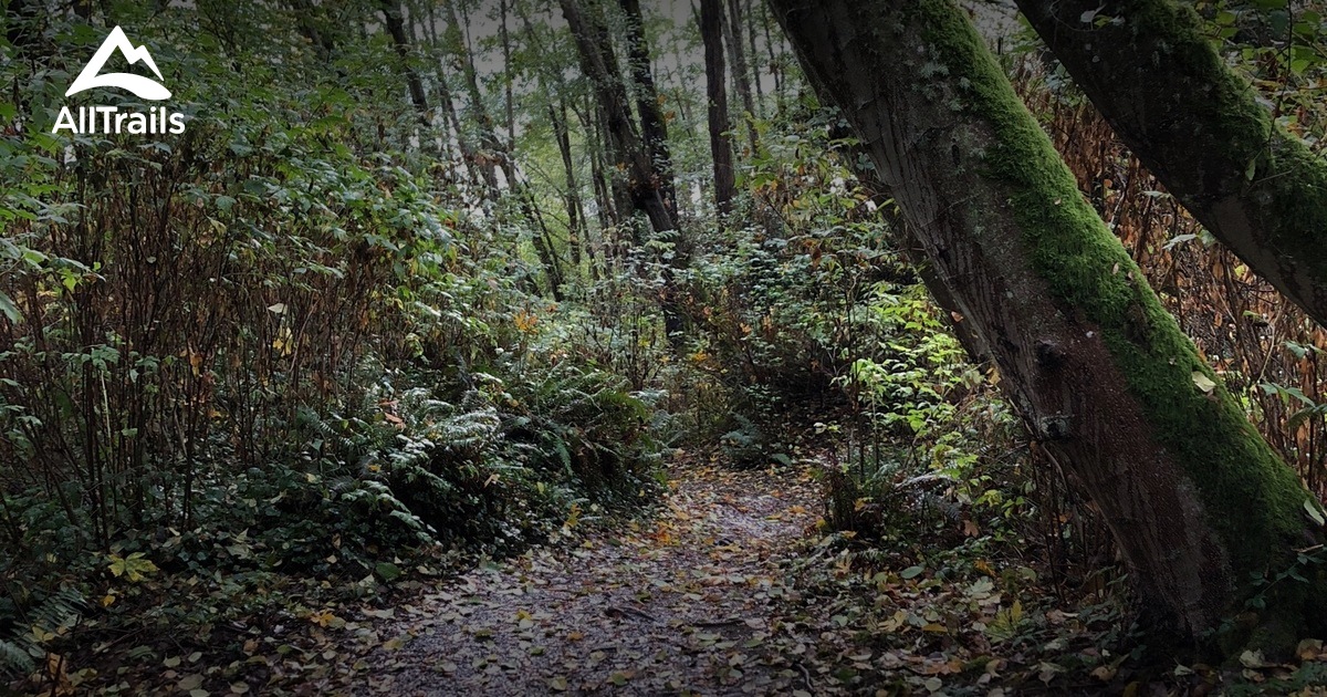 Best hikes and trails in Point Robinson Park | AllTrails