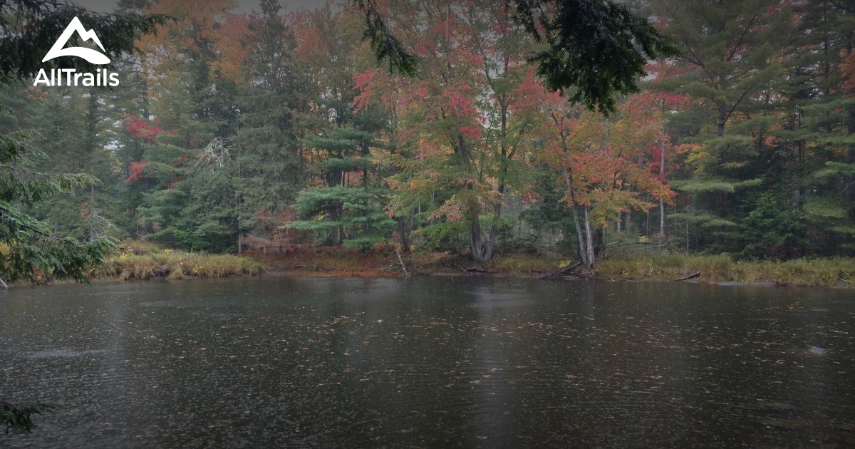 Best hikes and trails in Mariaville Falls Preserve | AllTrails