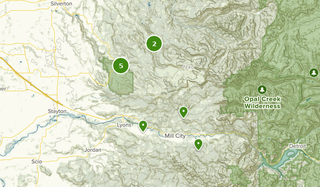 Best Trails in Santiam State Forest - Oregon | AllTrails