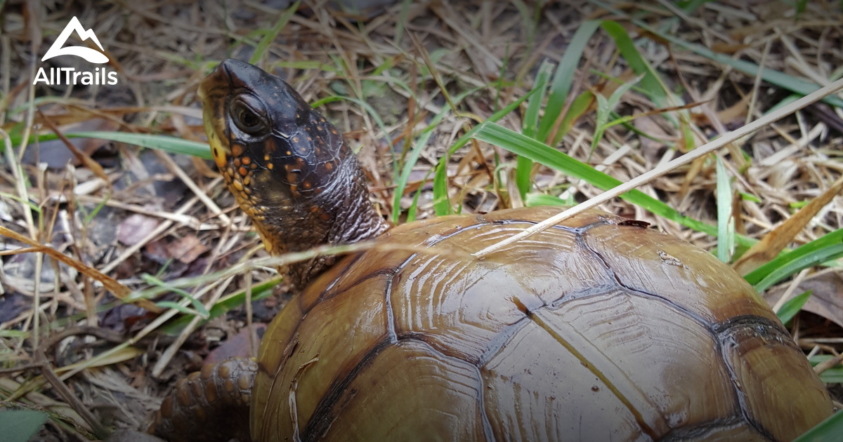 Best walking trails in Bonnie View Nature Sactuary | AllTrails