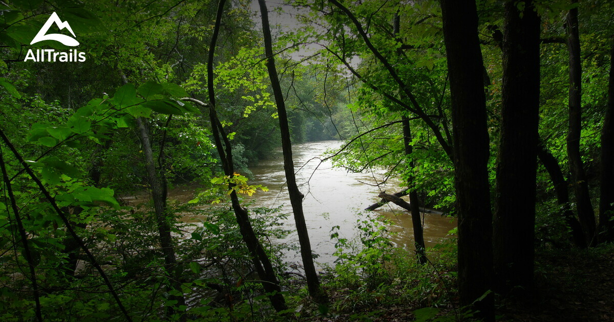 Best forest trails in Yellow River Park | AllTrails