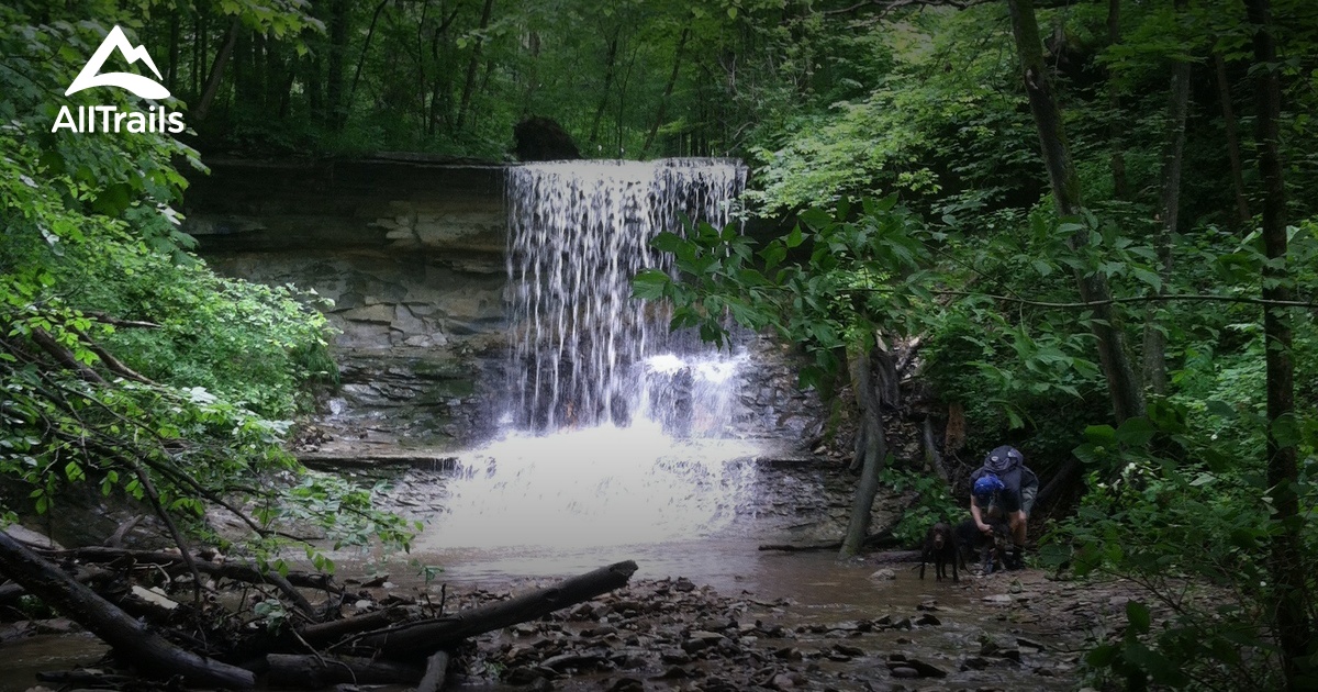 Best Trails in Salamonie River State Forest - Indiana | AllTrails
