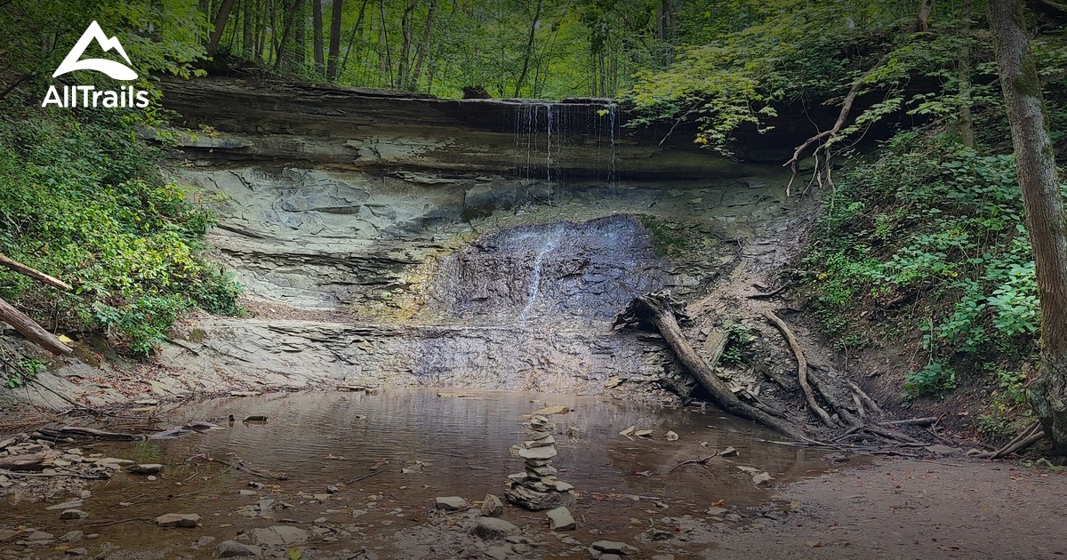 Best Trails in Salamonie River State Forest - Indiana | AllTrails