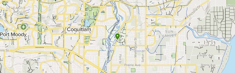 Best 10 Trails in Coquitlam River Park | AllTrails