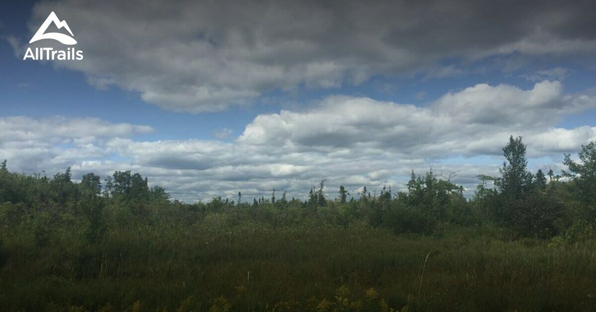 Best Hikes and Trails in Shearwater Flyer Trail Park | AllTrails