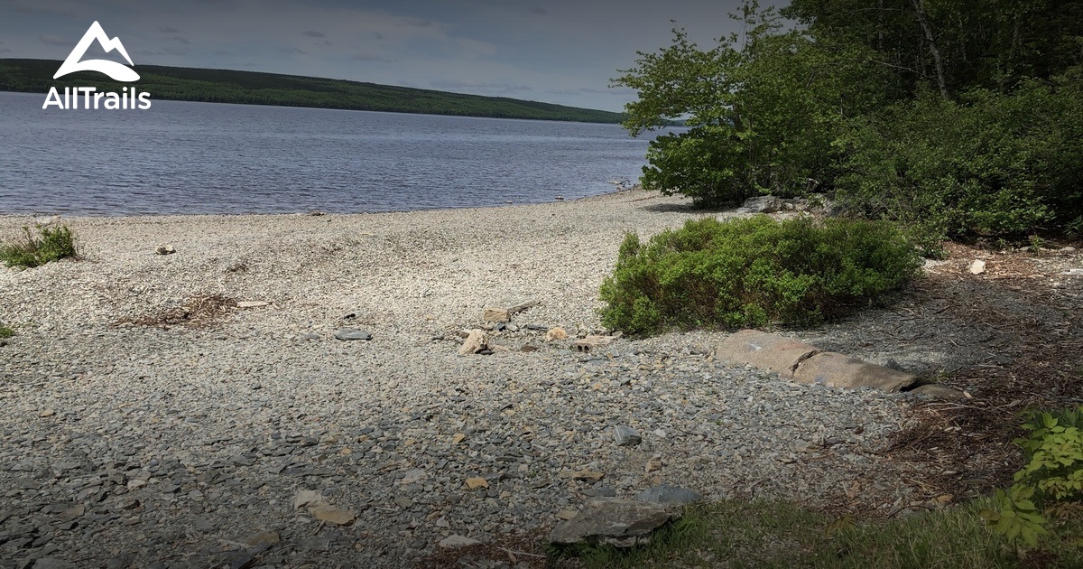 Best snowshoeing trails in Thomas Howe Demonstration Forest | AllTrails