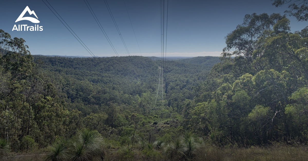 Best Trails in D’Aguilar National Park - Queensland, Australia | AllTrails