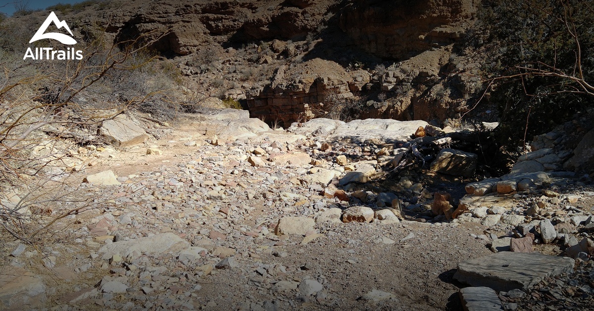 Best hikes and trails in Prehistoric Trackways National Monument ...