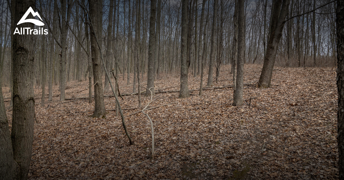 Best hikes and trails in Sharon Hills Nature Preserve | AllTrails
