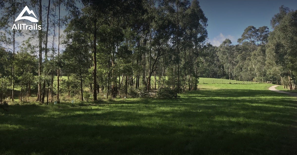 Best walking trails in Birdsland Reserve | AllTrails