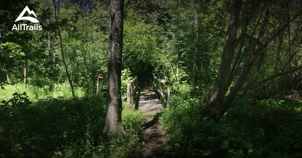 Best Trails in Ferguson Forest Centre - Ontario, Canada | AllTrails