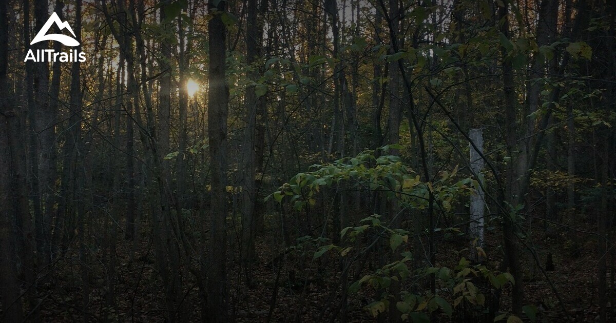 Best views trails in Ferguson Forest | AllTrails