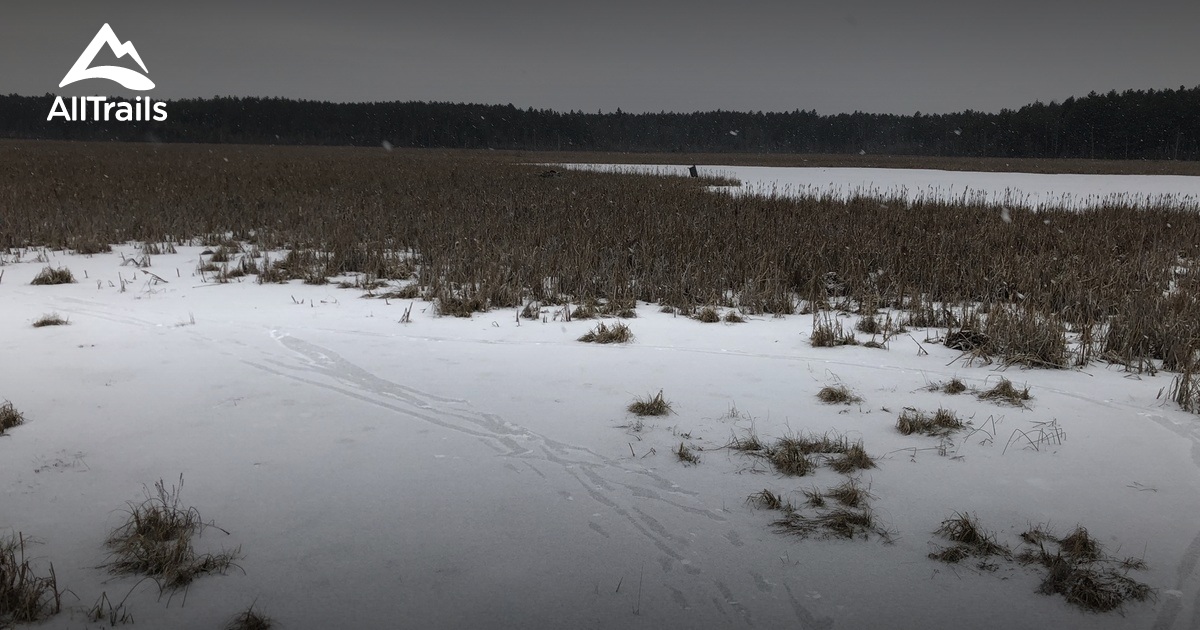 Best Trails in Limerick Forest South - Ontario, Canada | AllTrails