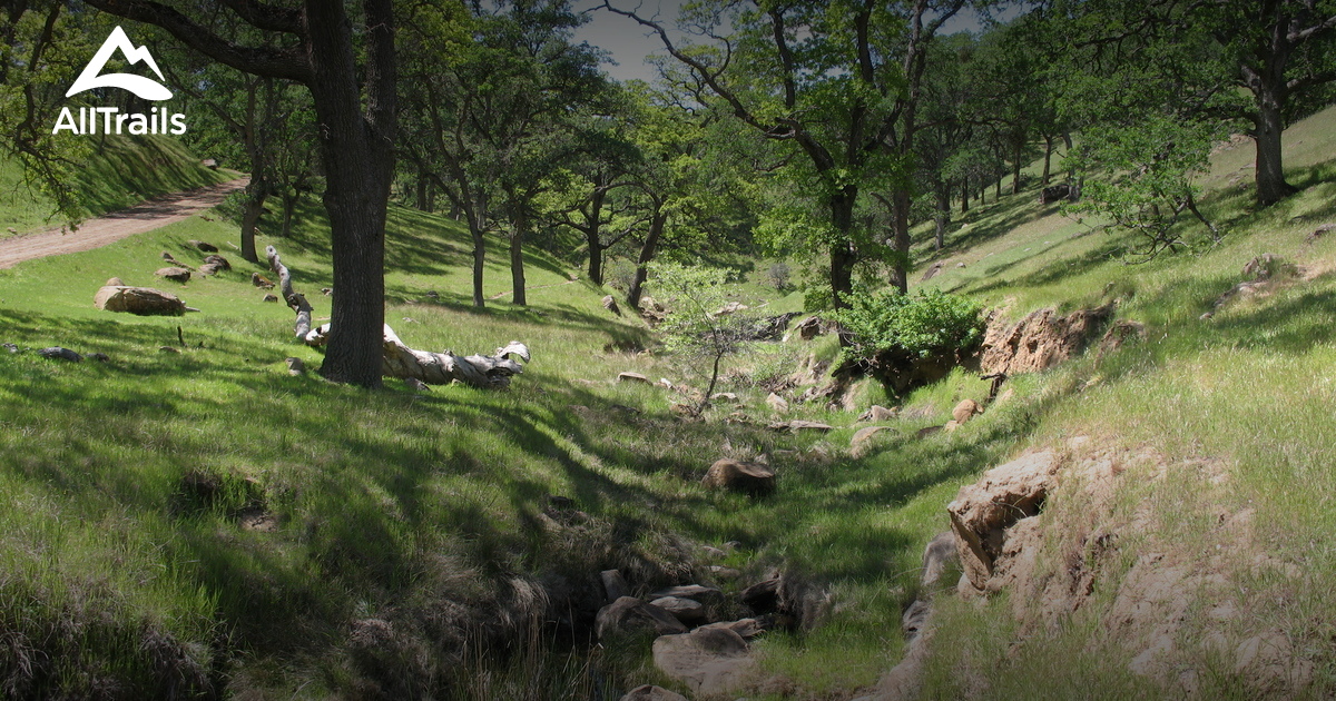 Best Trails in Round Valley Regional Preserve - California | AllTrails