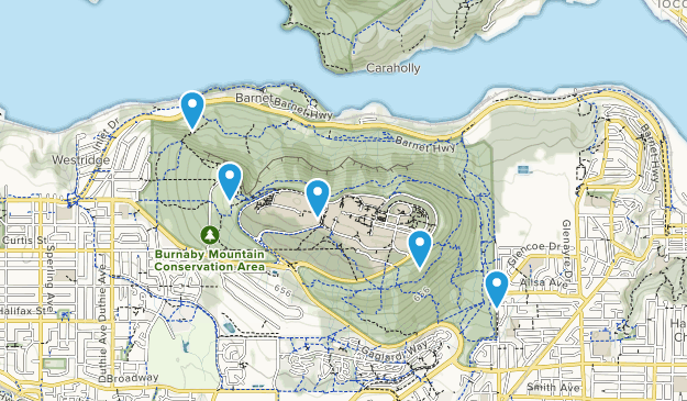 Best Trails in Burnaby Mountain Conservation Area - British Columbia ...