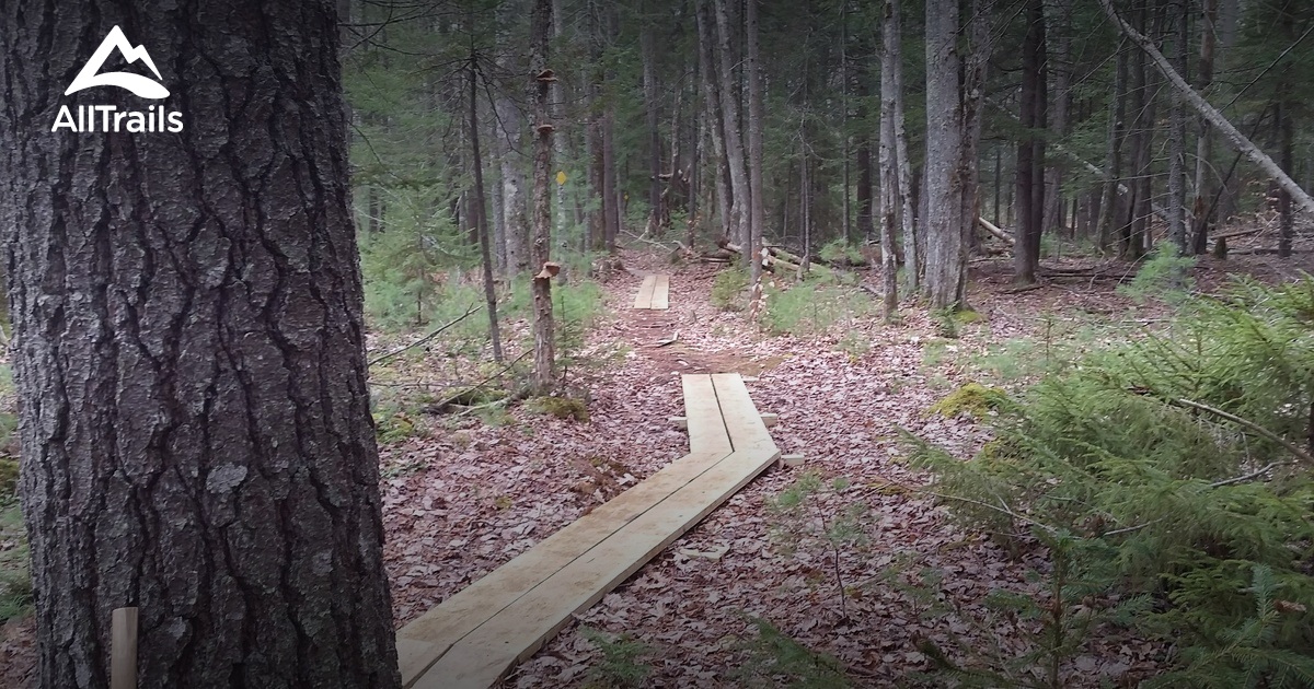 Best Hikes and Trails in Woods Road Community Forest | AllTrails