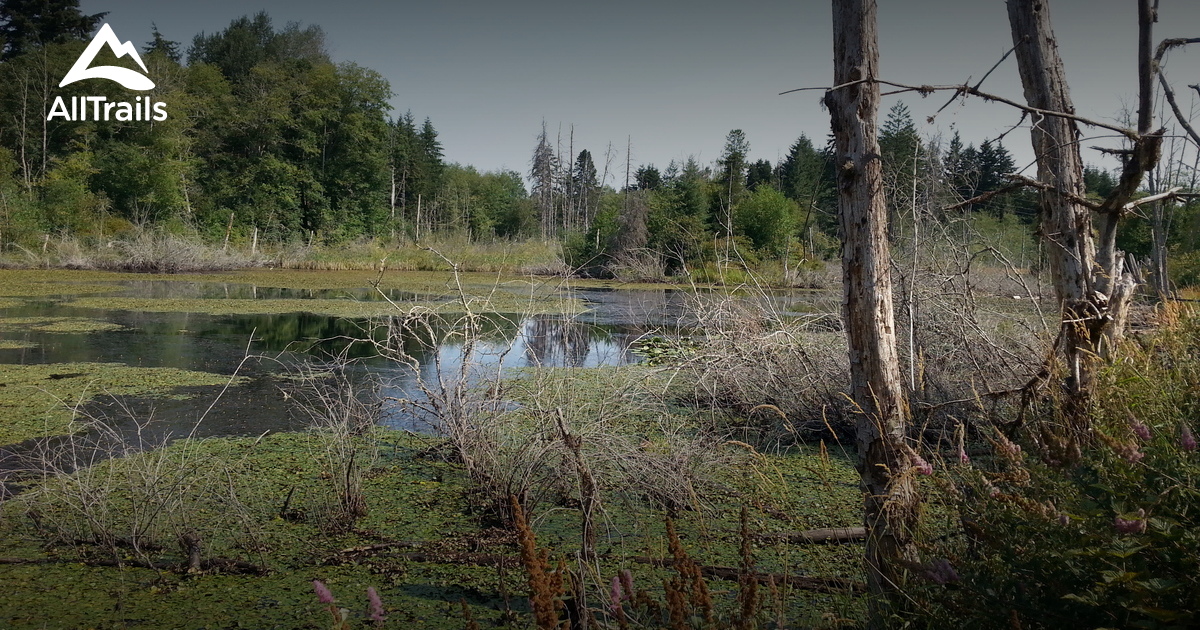 Island Center Forest : les meilleures randonnées courtes | AllTrails