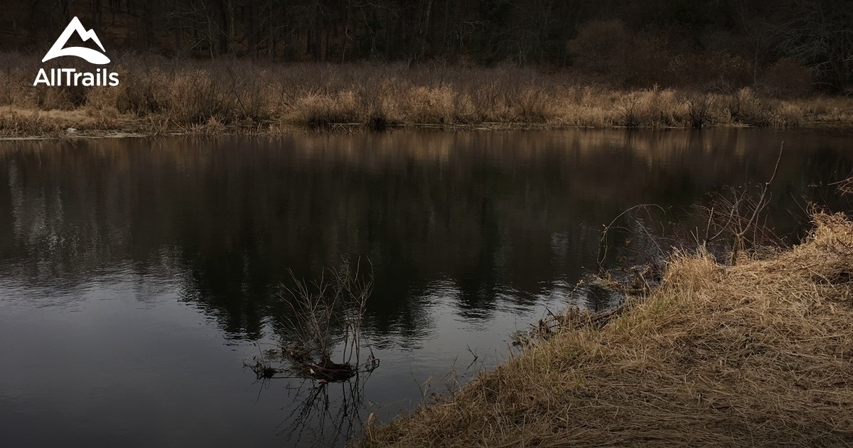 Medfield Charles River Reservation : les meilleurs itinéraires avec un ...