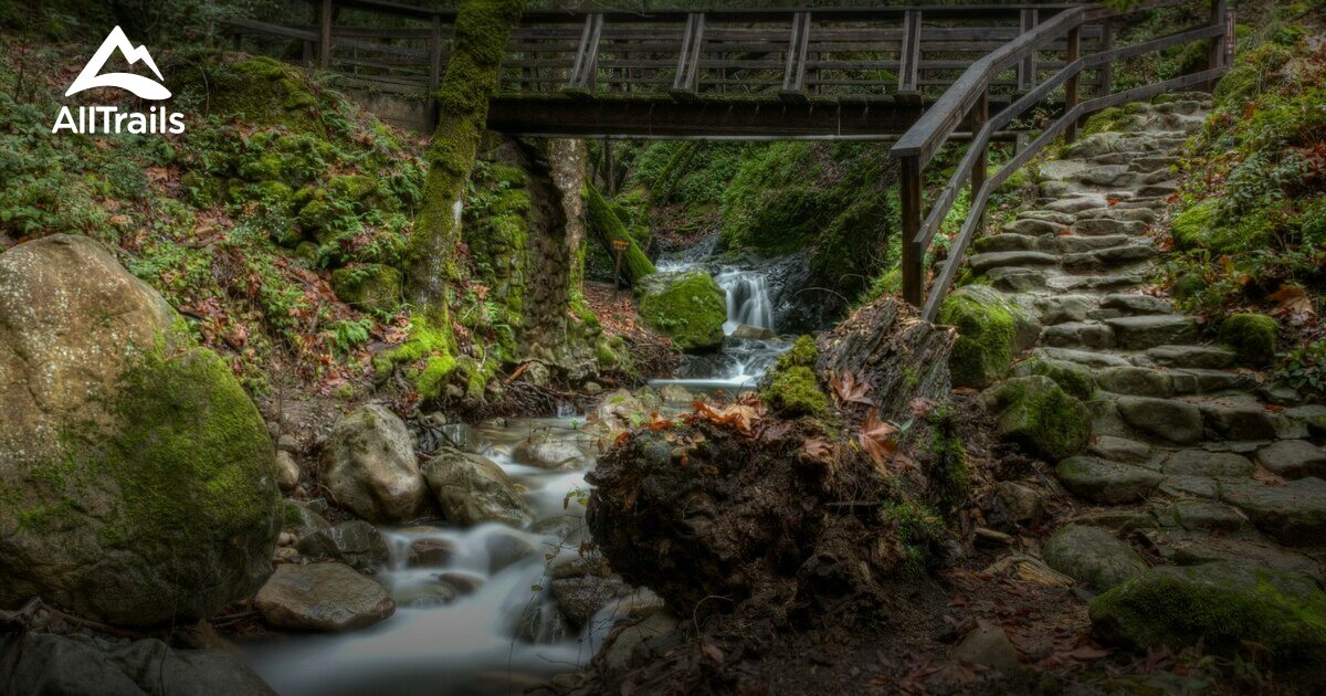 Best Trails in Uvas Canyon County Park - California | AllTrails