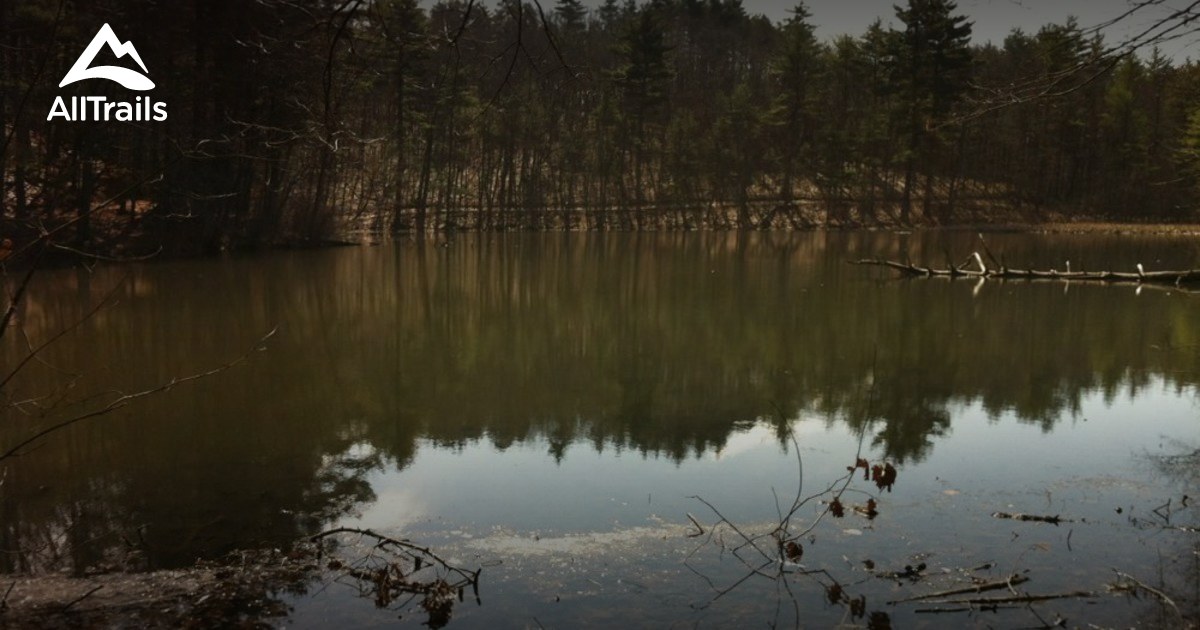 Best hikes and trails in Hapgood Wright Forest | AllTrails