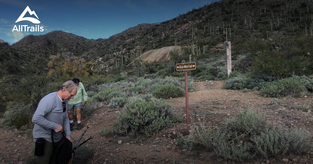 Best Trails in McDowell Mountain Regional Park - Arizona | AllTrails