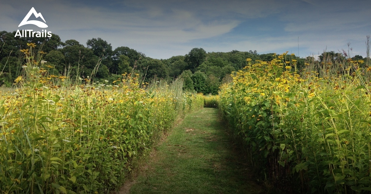 Best Trails in Avalon Preserve - New York | AllTrails