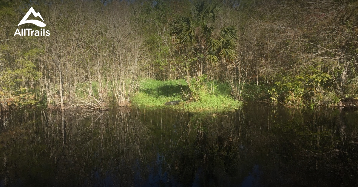 Best walking trails in Bird Rookery Swamp | AllTrails