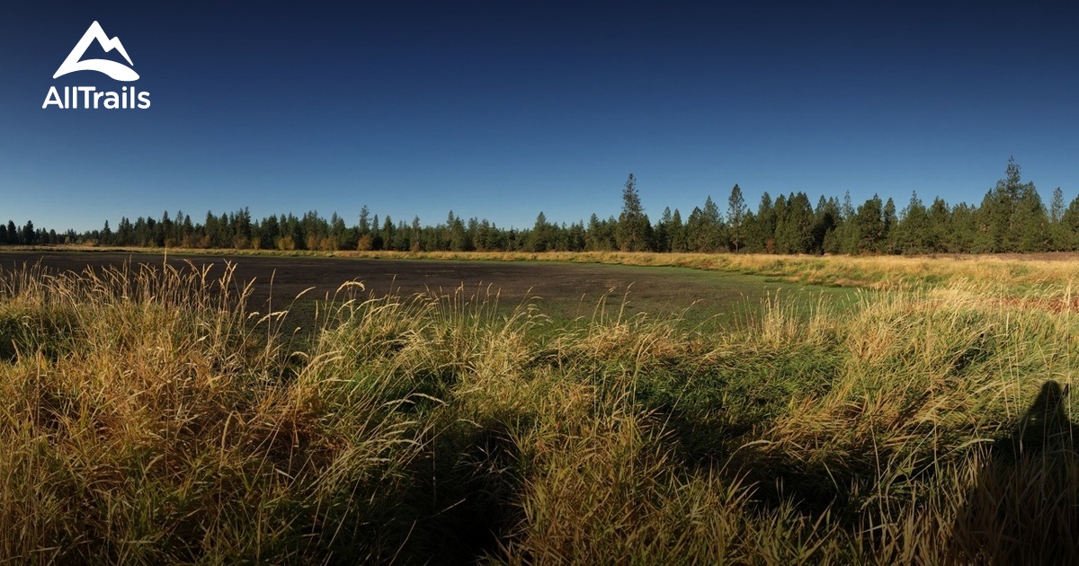 Best Hikes and Trails in James T. Slavin Conservation Area | AllTrails