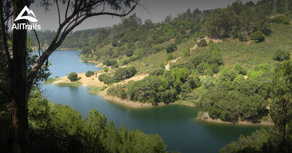Best Trails in Lake Chabot Regional Park - California | AllTrails