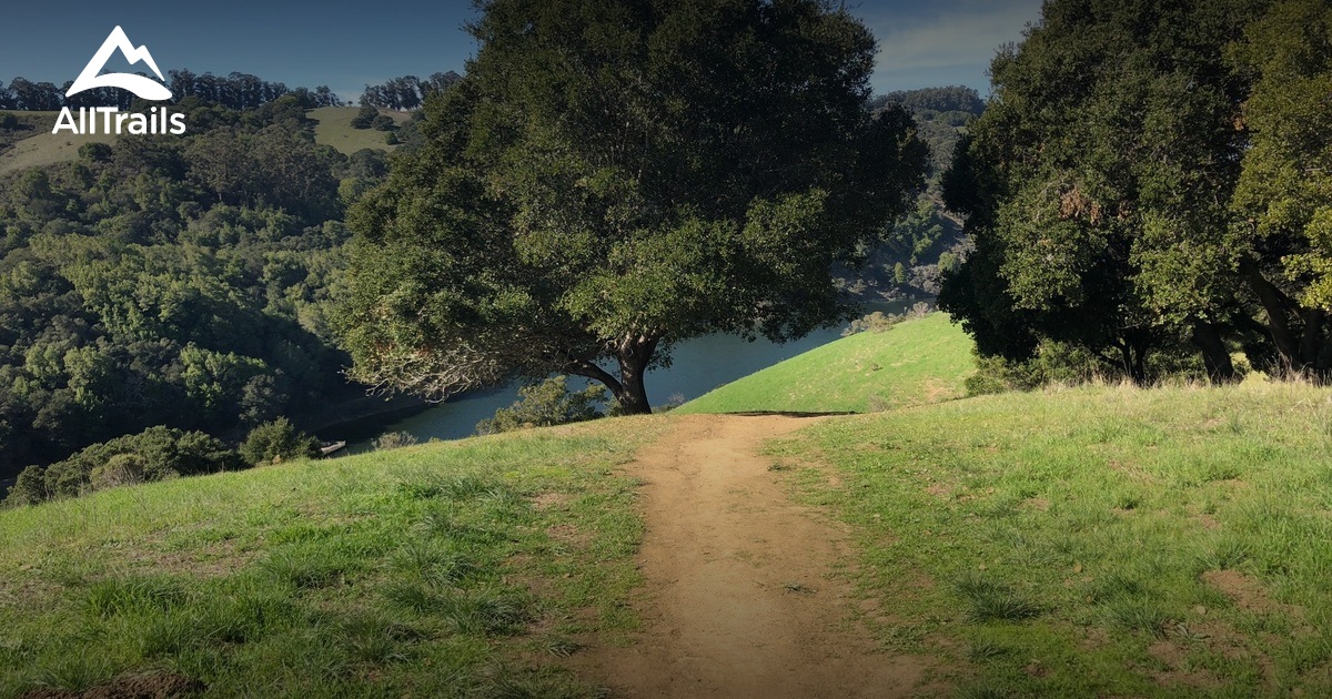 Best Trails in Lake Chabot Regional Park - California | AllTrails