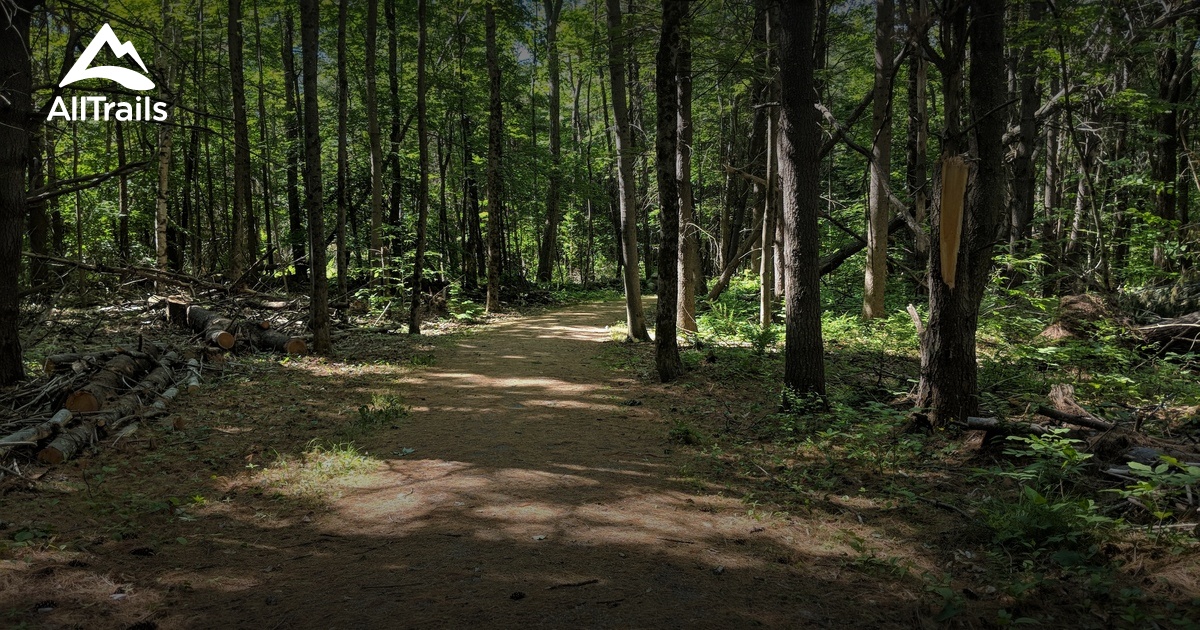Best hikes and trails in Sewall Woods Trails | AllTrails