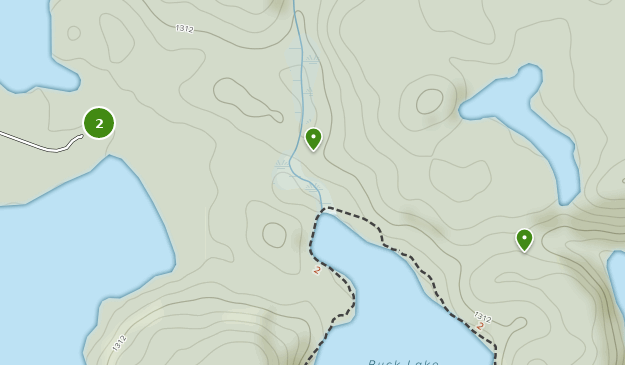 Best Trails in Limberlost Forest and Wildlife Reserve - Ontario, Canada ...