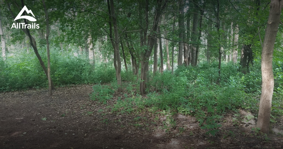 Best hikes and trails in Springbrook Nature Center | AllTrails