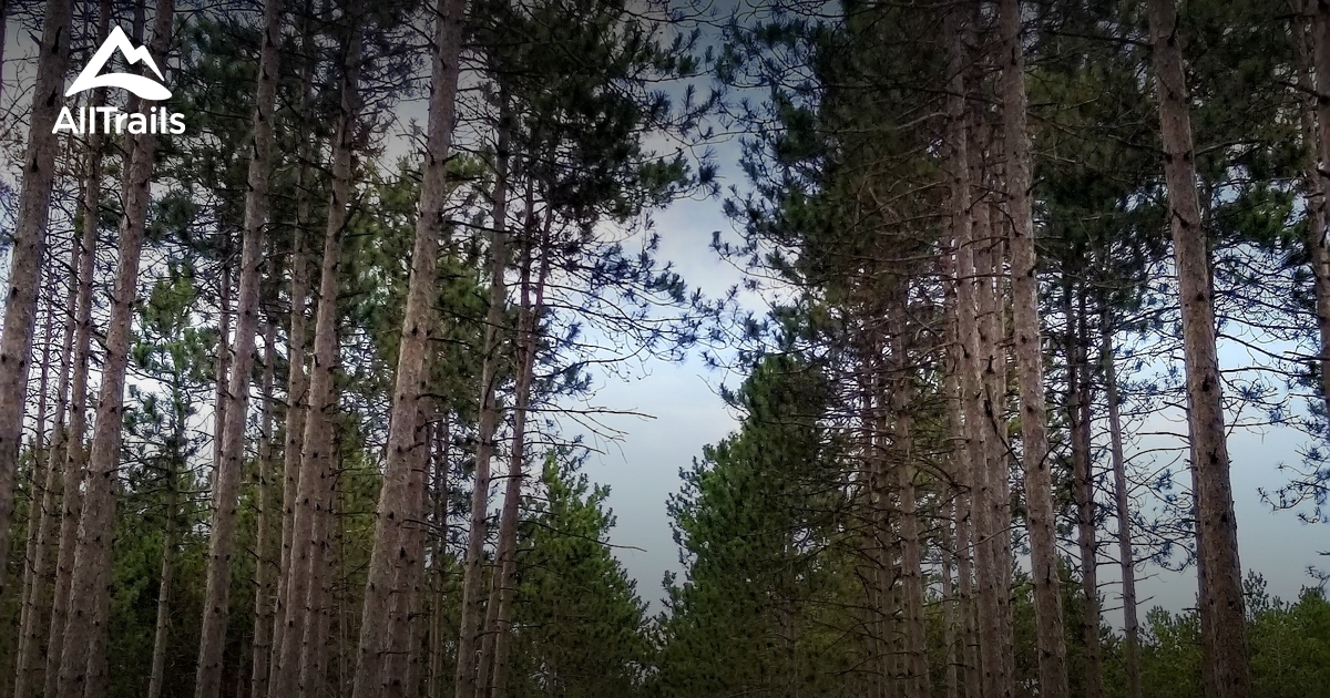 Best Trails in Simcoe County Forest - Ontario, Canada | AllTrails