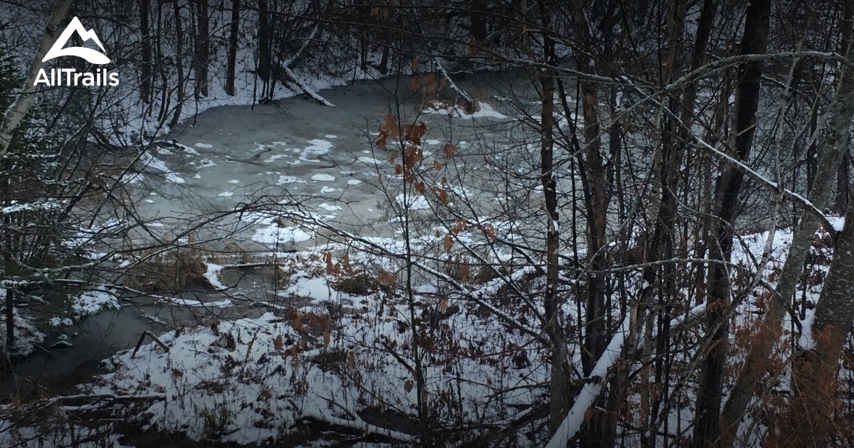 Best hikes and trails in Lockhard & Ryan Park | AllTrails