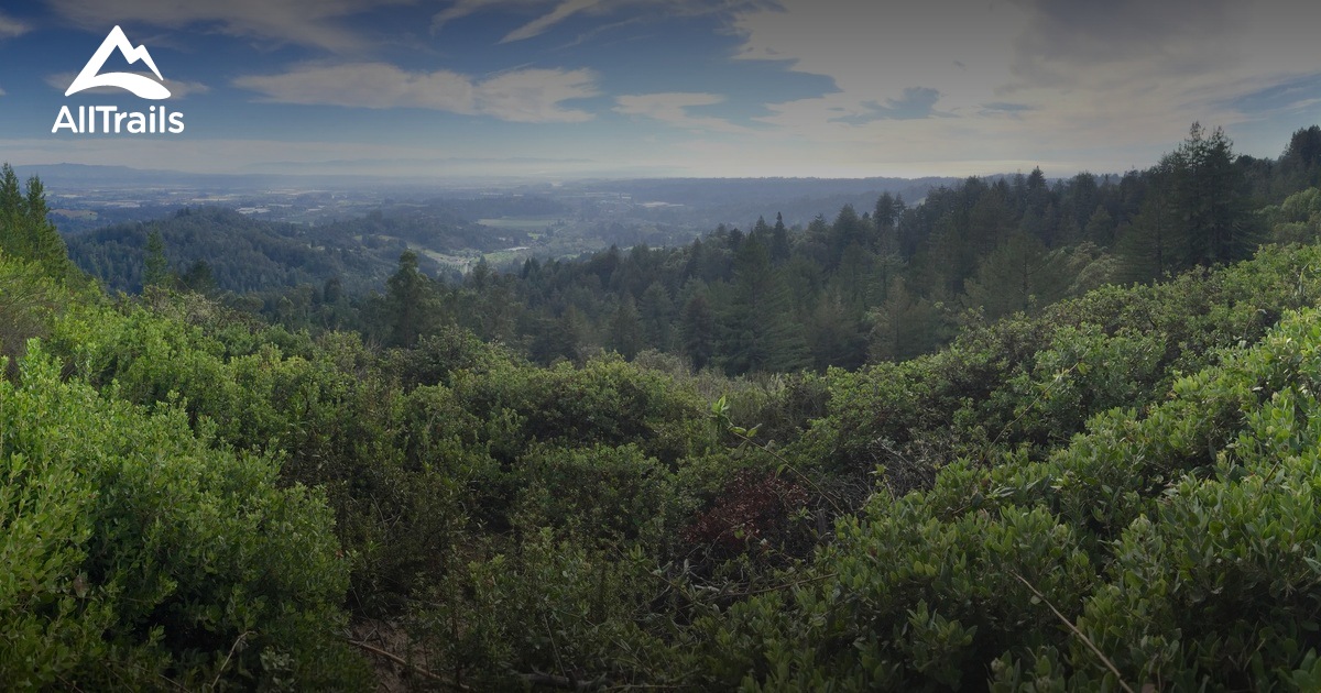 Best hikes and trails in Byrne-Milliron Forest | AllTrails