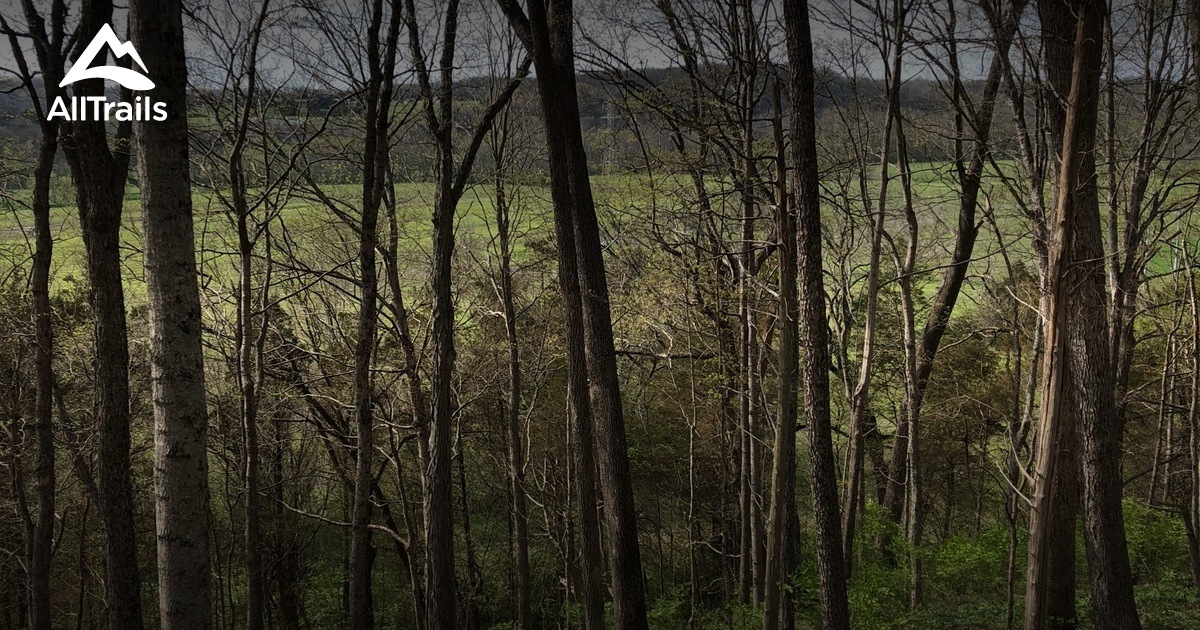 Best walking trails in Broad Run Park | AllTrails