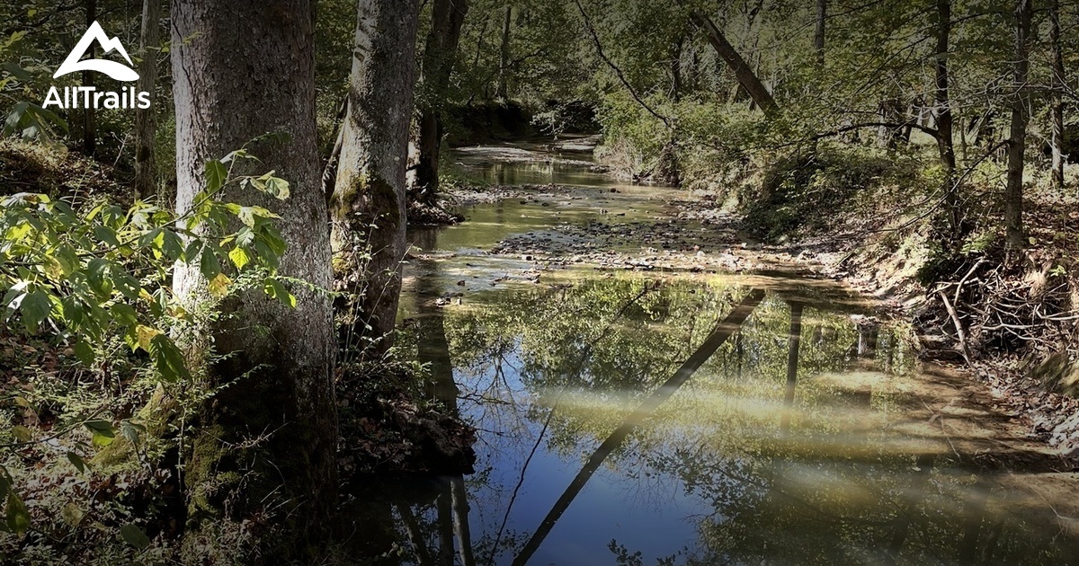 Middle Creek Park : les meilleurs itinéraires pour l'observation d ...