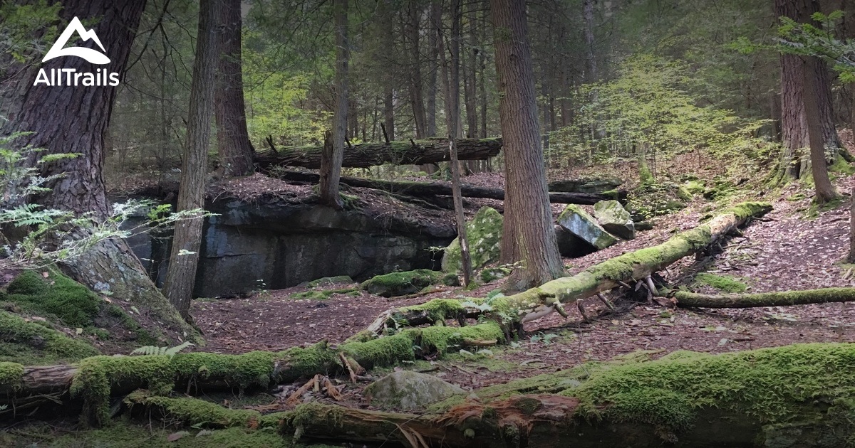 Best Trails in Chestnut Ridge Park - West Virginia | AllTrails