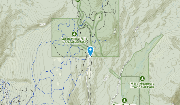 Best Trails in Larch Hills Trails Recreation Site - British Columbia ...