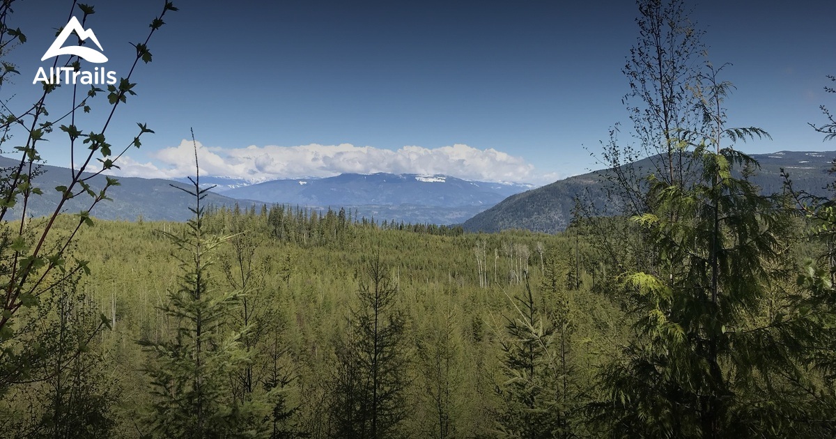 Best snowshoeing trails in Larch Hills Trails Recreation Site | AllTrails