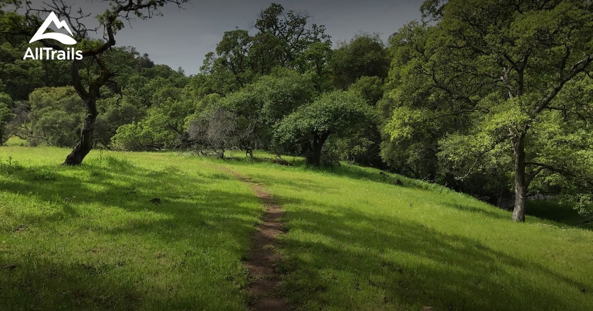 Best hikes and trails in North Table Mountain Ecological Reserve ...