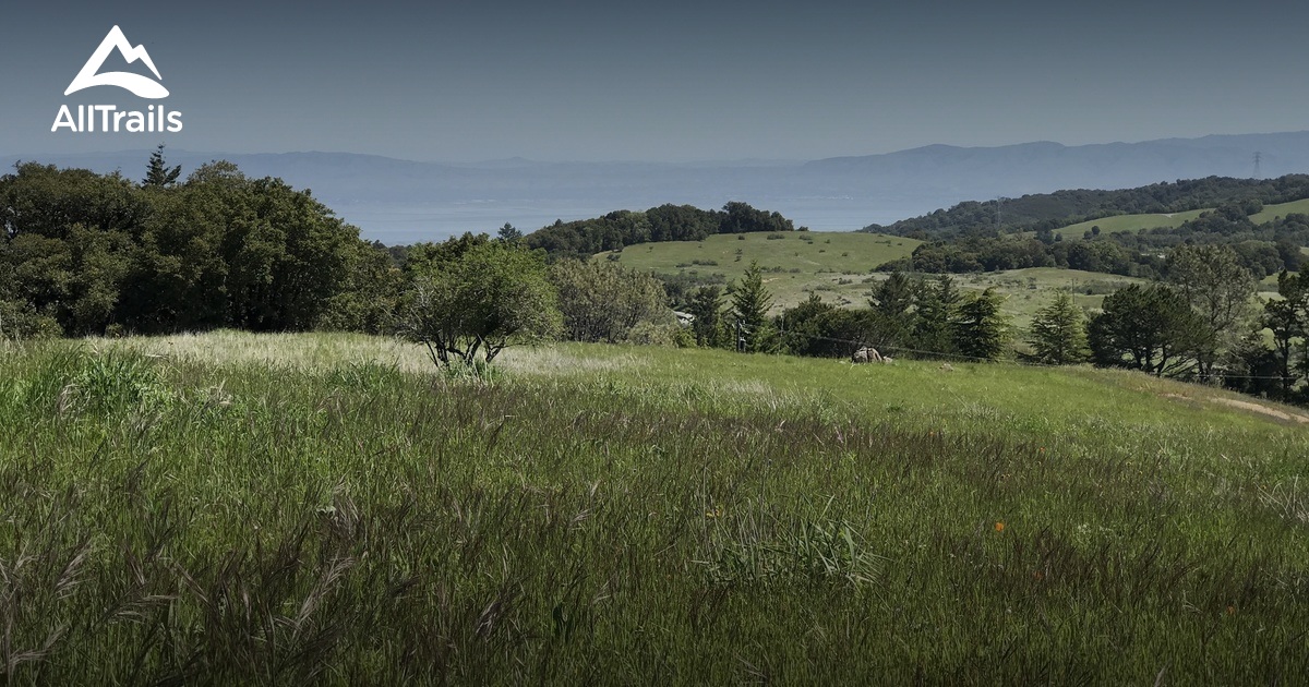 Best Trails in Russian Ridge Open Space Preserve - California | AllTrails